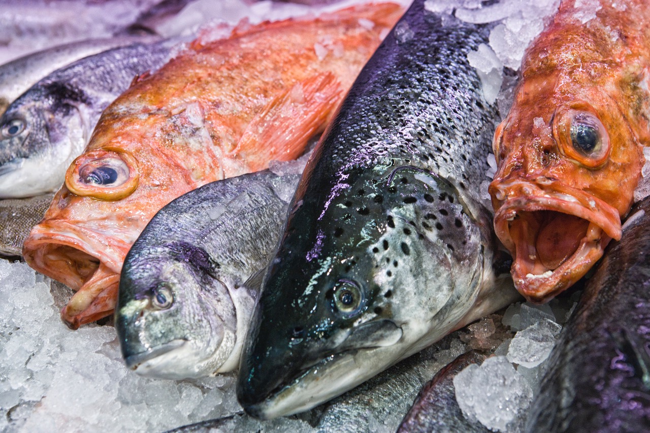 Fisch Bremen F.L. Bodes - F.L.BODES Bremen Fischfachhandel