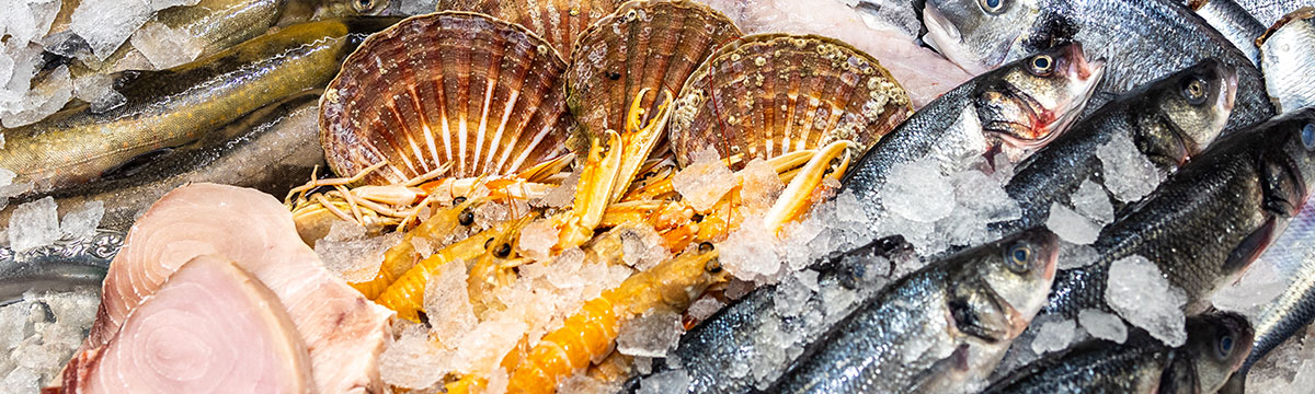 Fisch Bremen F.L. Bodes - F.L.BODES Bremen Fischfachhandel