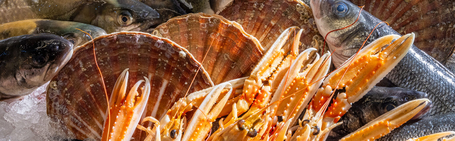 Fisch Bremen F.L. Bodes - F.L.BODES Bremen Fischfachhandel